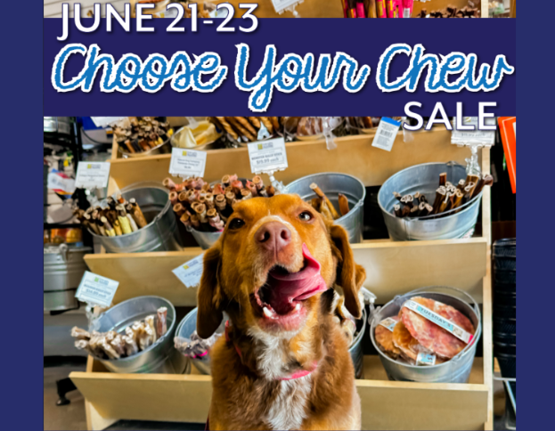 Pet Events Near You | Treats Unleashed